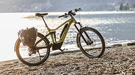 R Raymon German Performance Bike