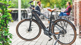 R Raymon German Performance Bike