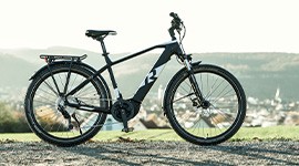 R Raymon German Performance Bike