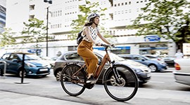 R Raymon German Performance Bike