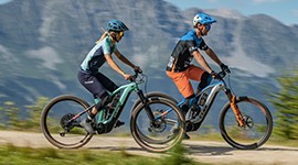 R Raymon German Performance Bike